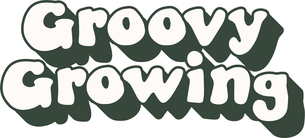 New Arrivals – Groovy Growing